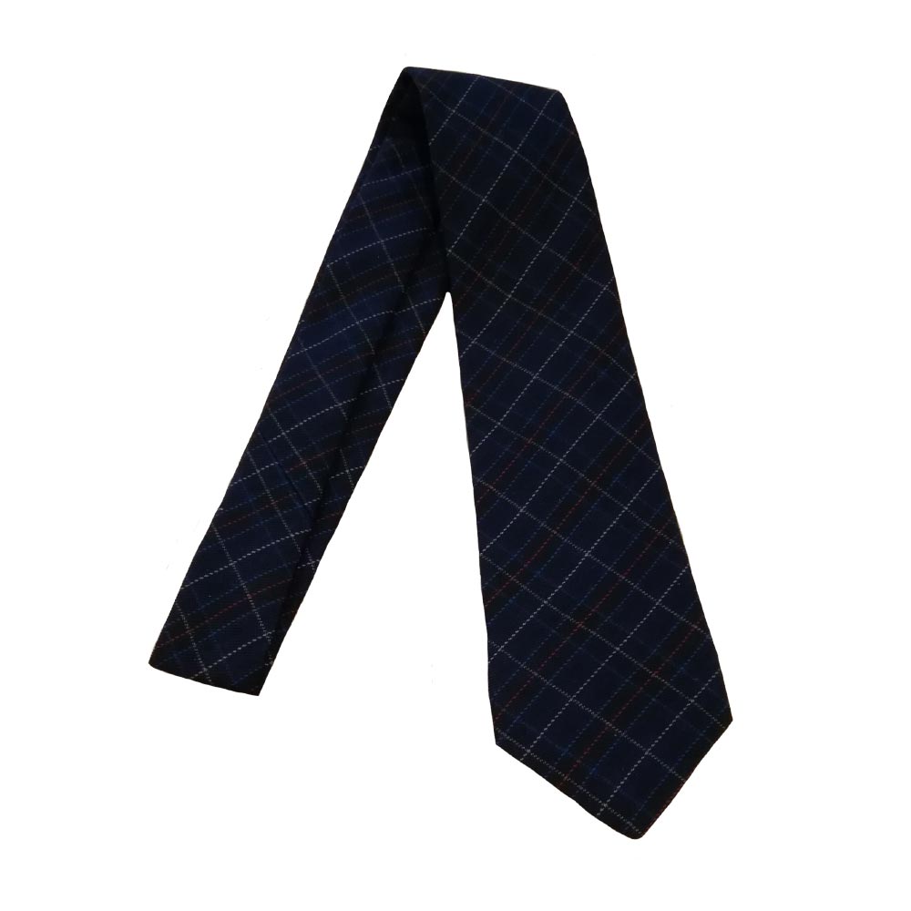 1036 ACG Sunderland Primary Uniform Tie – Lenco